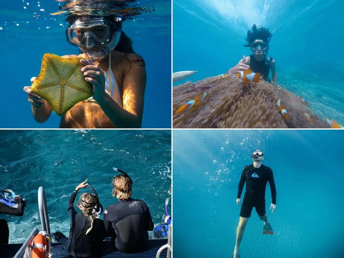 ¿Qué es el Snorkel? Cómo se practica, qué se necesita y cuándo se hace ... ¿Qué es el Snorkel? Cómo se practica, qué se necesita y cuándo se hace ...